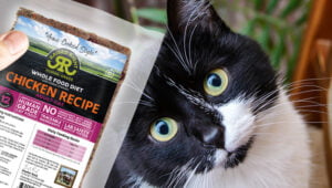 Raised Right Human Grade Dog Food and Human Grade Cat Food