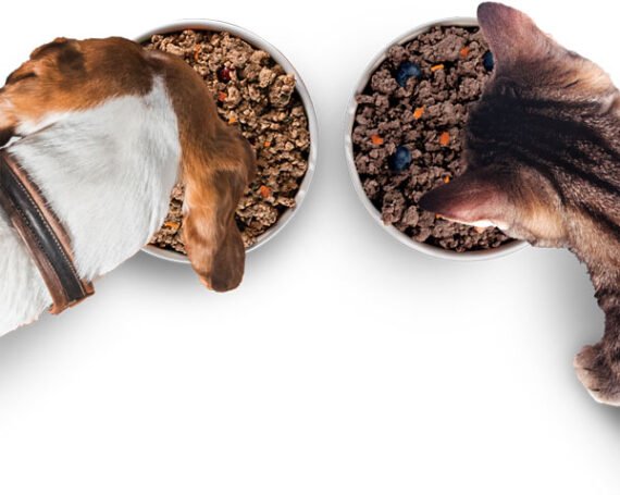 Raised Right Human Grade Dog Food and Human Grade Cat Food